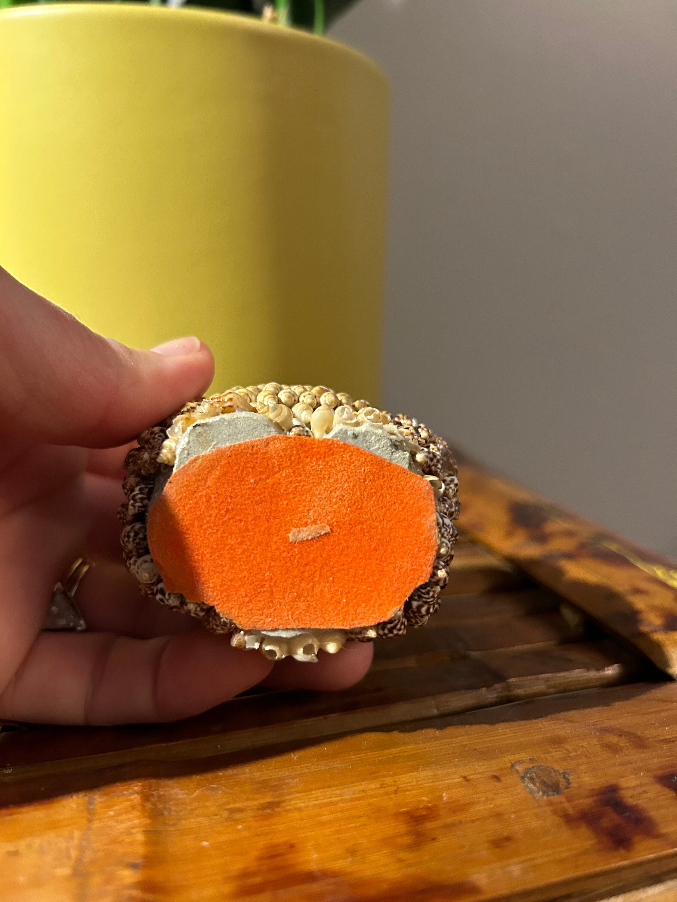 Owl Made of Tiny Shells - Etsy