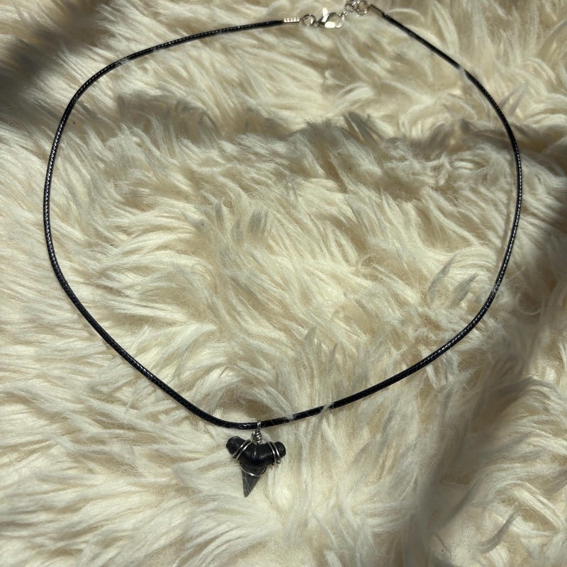 Shark Tooth - Etsy UK