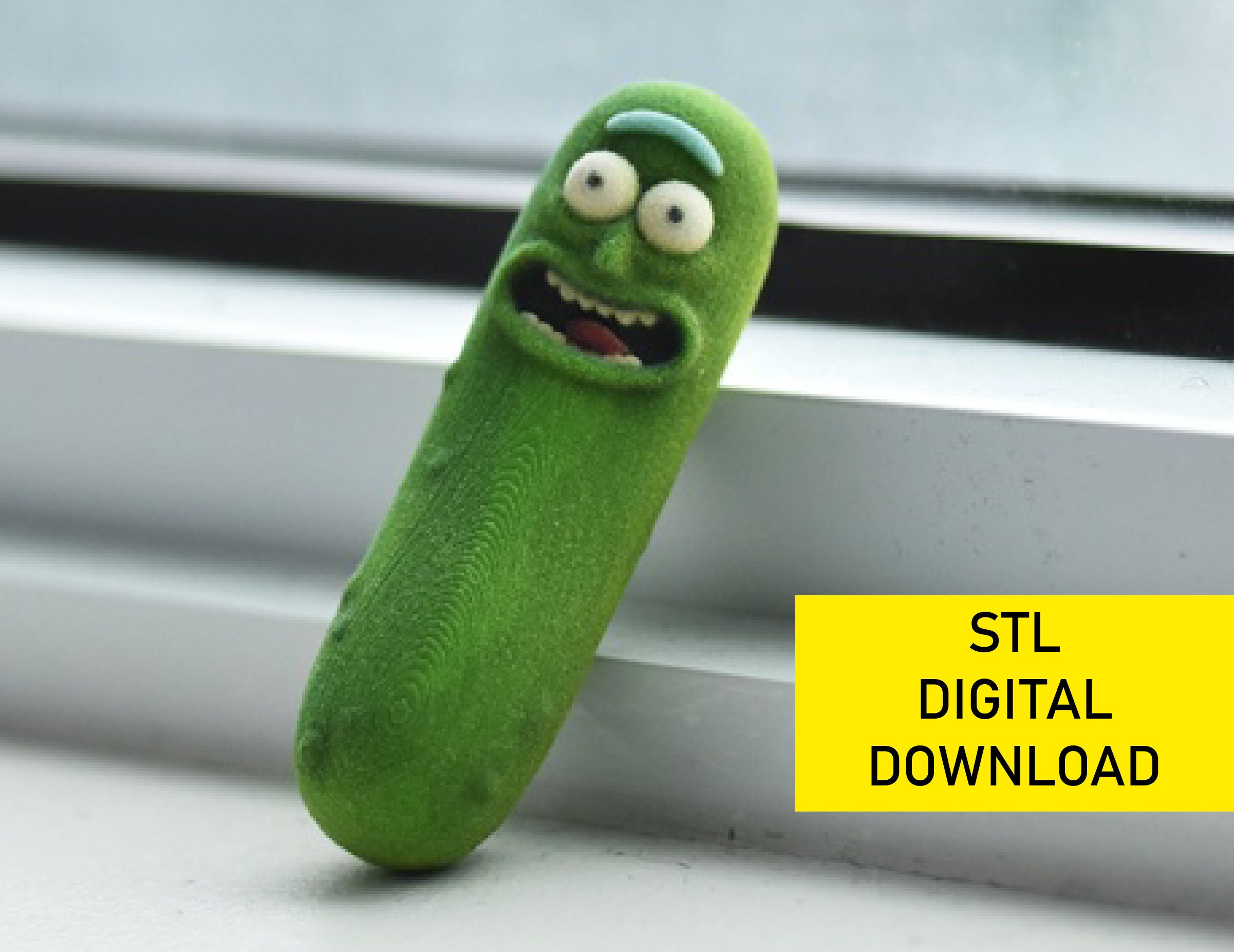 Pickle Rick 3d Printer Stl Files Digital Download Cute Files - Etsy