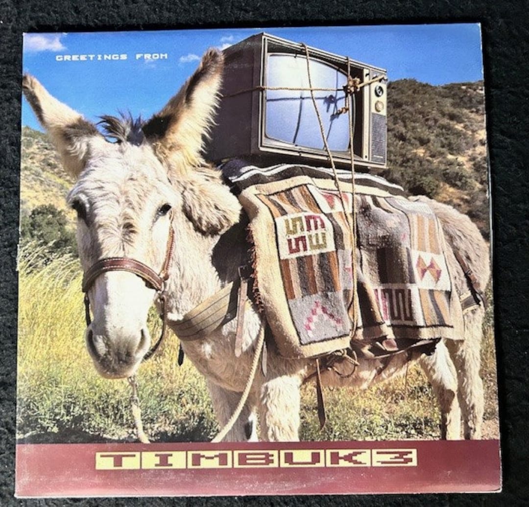 1986 - Timbuk 3 - Greetings From Timbuk 3 - Etsy