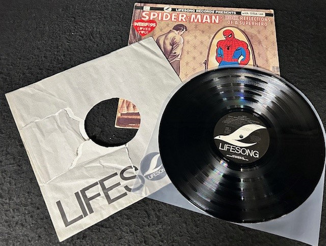 Spider-man: Rock Reflections of a Superhero - Etsy