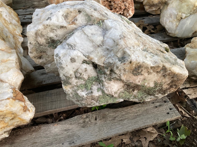 Milky Quartz Boulder With Lichen - Etsy