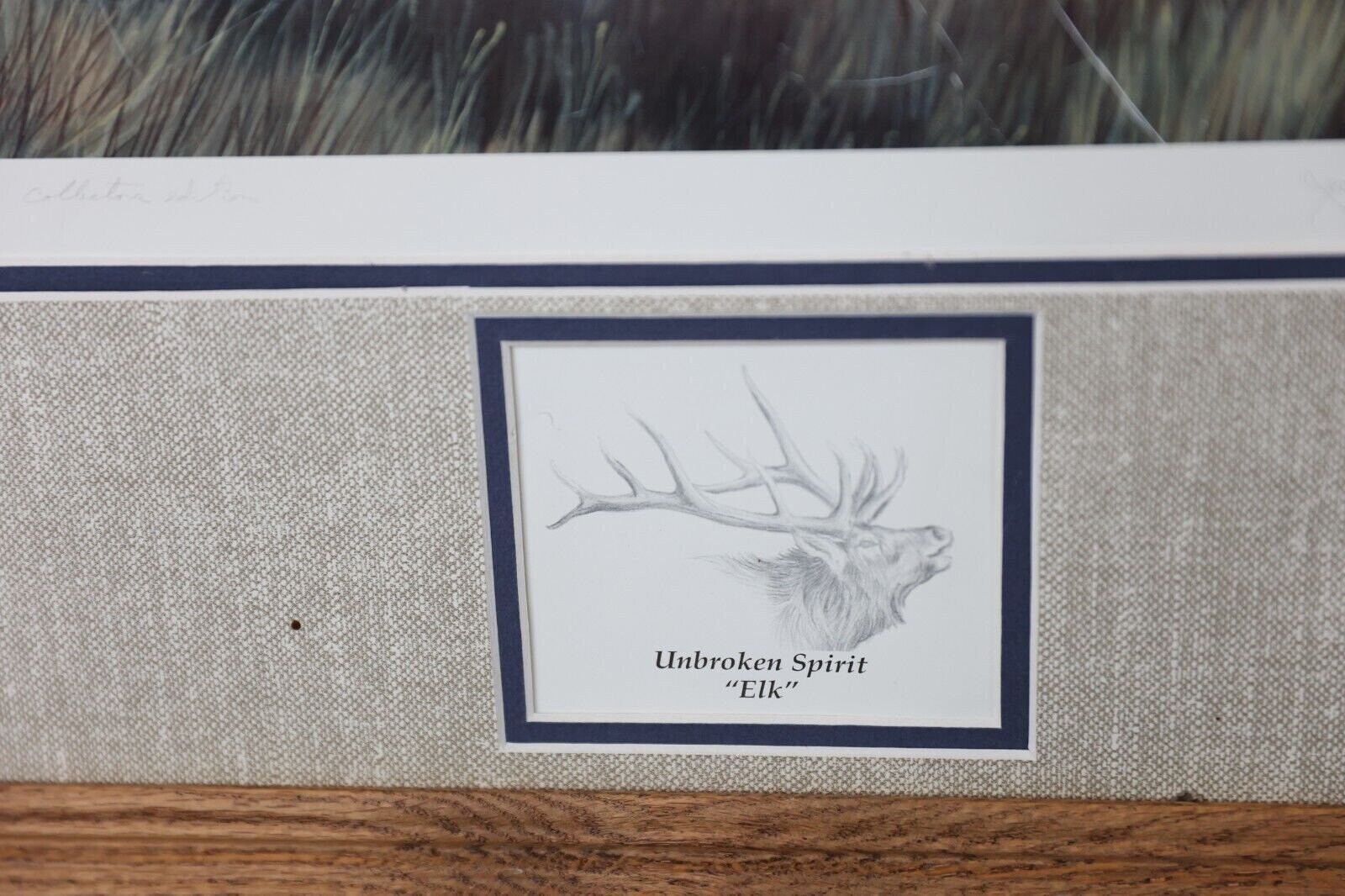 Jean Gasser Art Piece, unbroken Spirit Elk Framed Photograph - Etsy