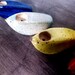 Bird Smoking Pipe Ceramic Stoneware Handmade Tobacco Pipe - Etsy