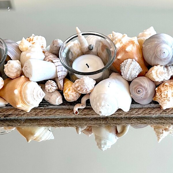 Seashell Centerpiece - Etsy
