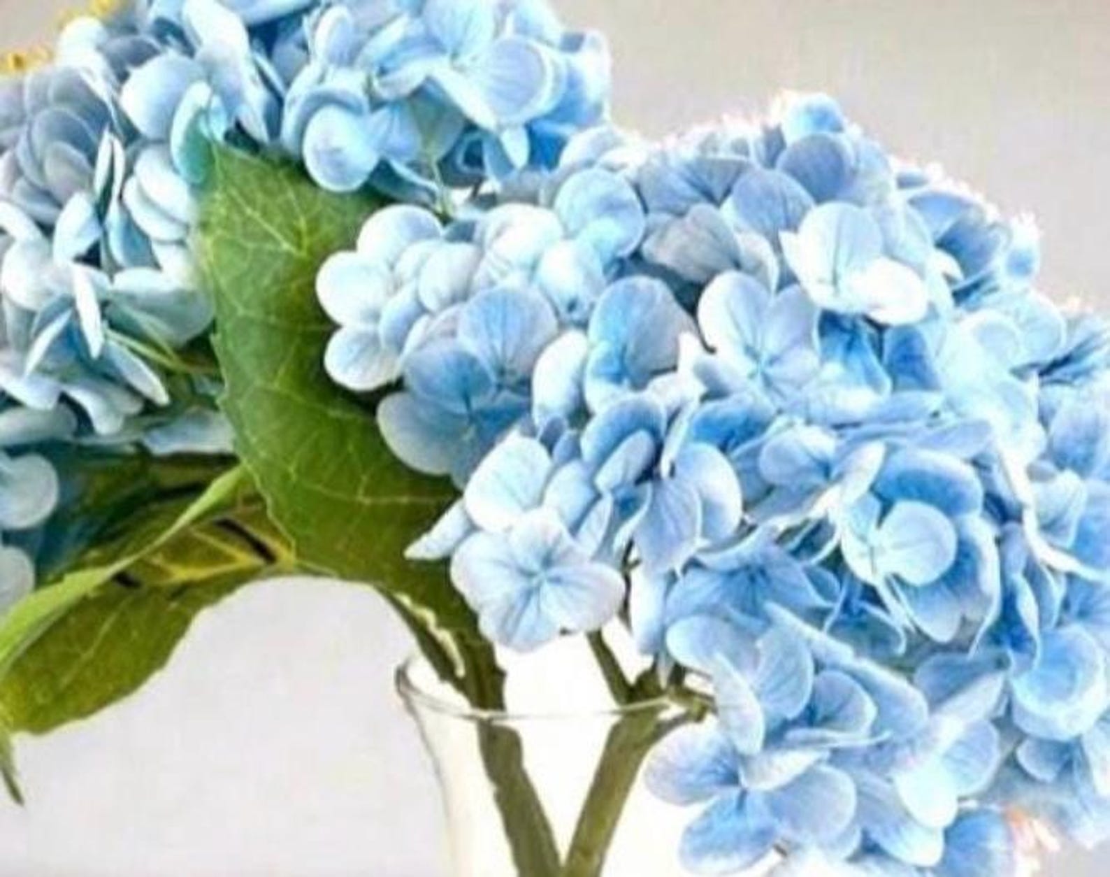 Luxury Real Touch White Hydrangea Centerpiece: Elegant Floral ...