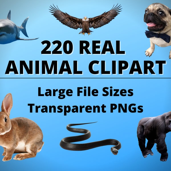 Real Animals Clipart - Etsy
