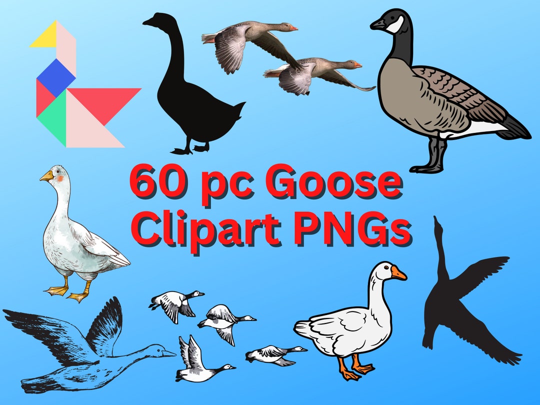 60 Goose Clipart PNG Images With Transparent Backgrounds Goose Pngs ...
