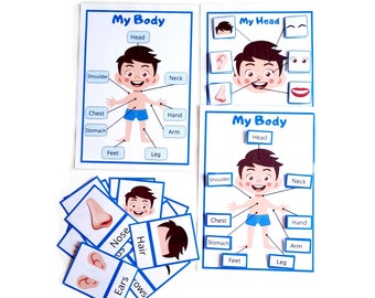 Body Parts Poster Montessori Homeschool Educational Posters for ...