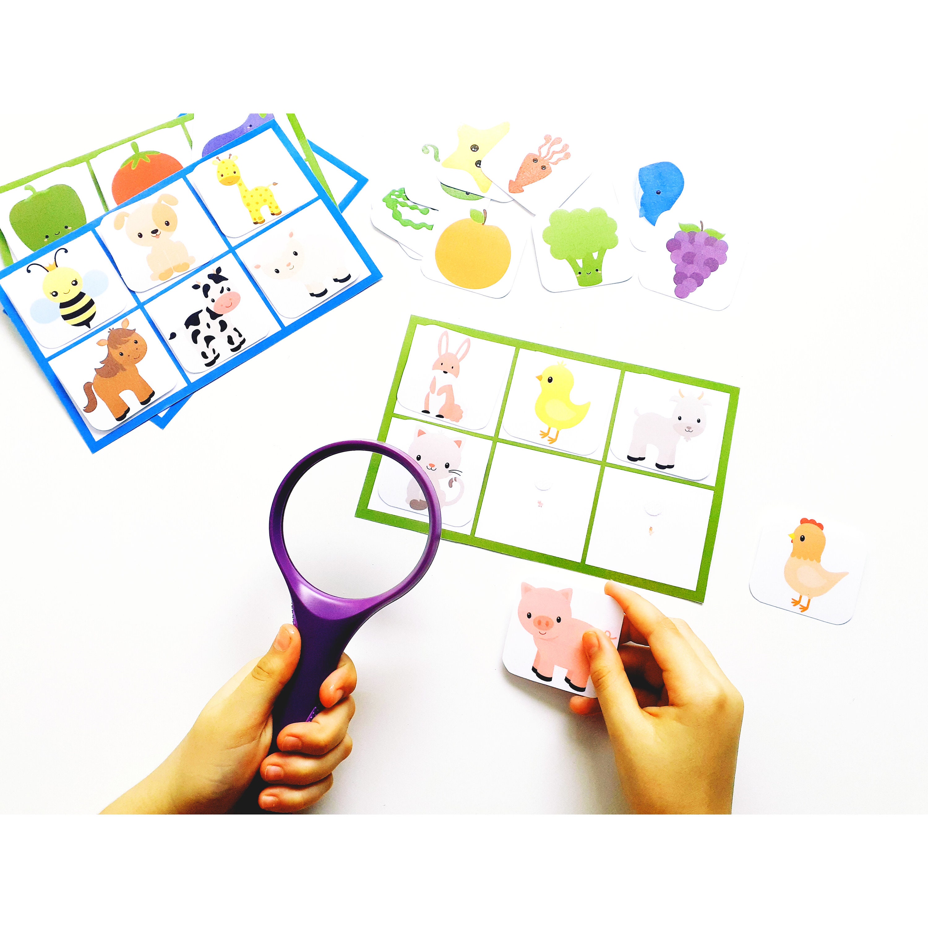 Magnifying Matching Activity, Fine Motor Skills. - Etsy