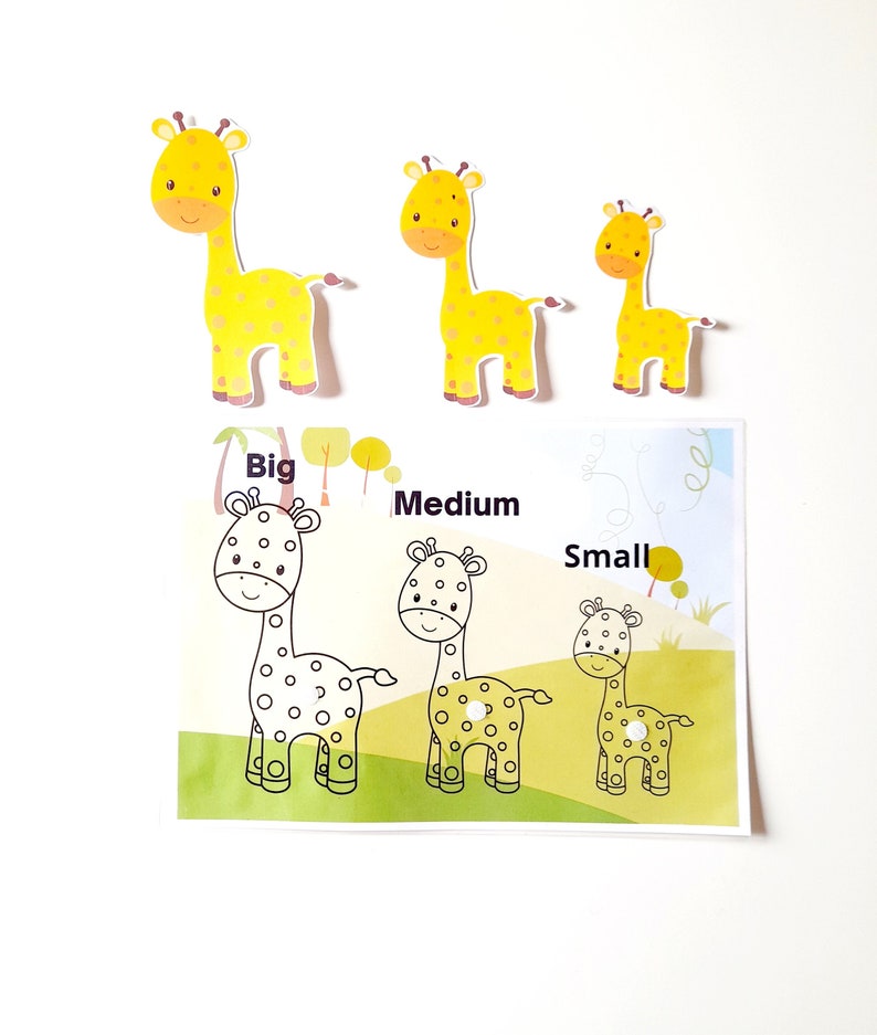 Size Activity for Preschoolers, Matching Activity, Big, Medium and Small Activities, - Etsy