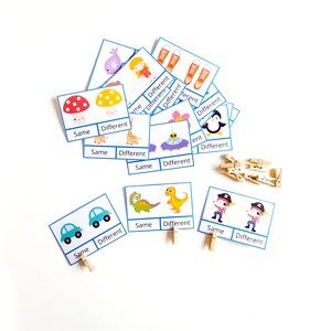 Printable Cards Same or Different Activity for Toddlers and ...