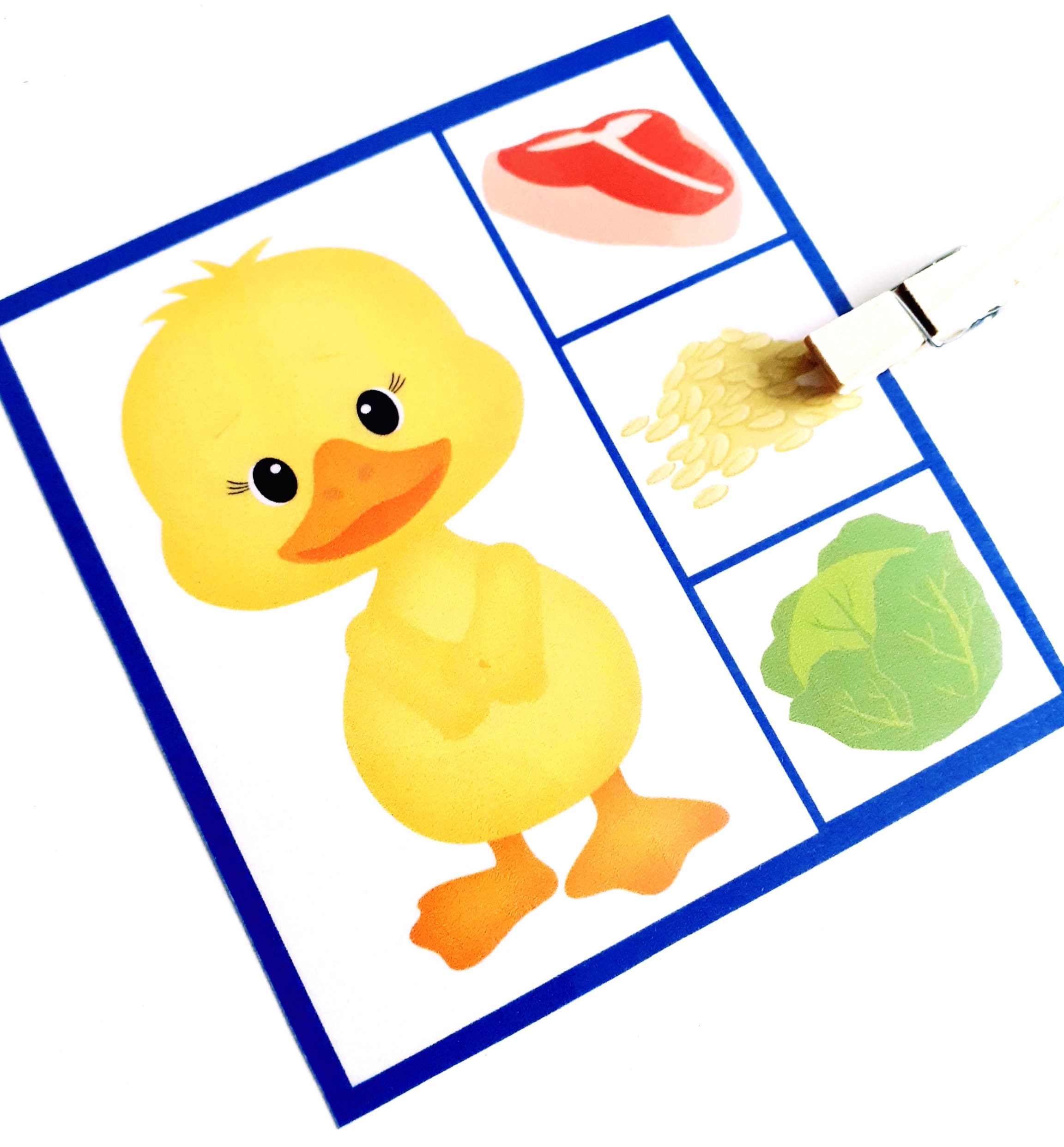 Animals Food, Fine Motor Skills, Animal Matching Game - Etsy