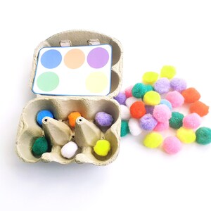 Color Activity With Pompoms and Fine Motor Skills Worksheet for ...