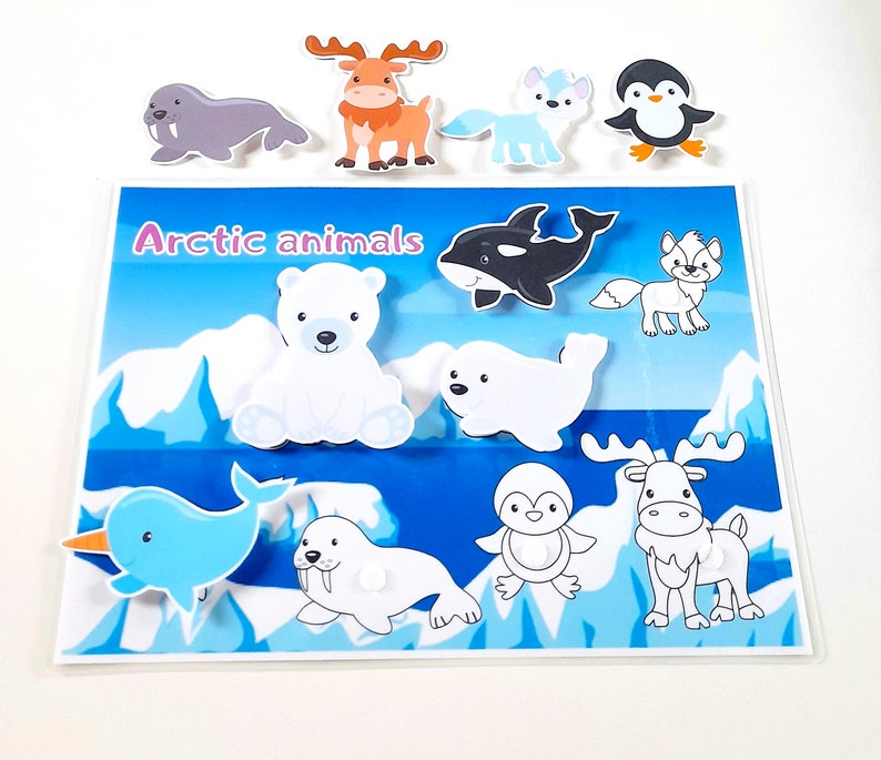 Animal Matching Game, Arctic Animal Matching , Memory Game, Printable ...