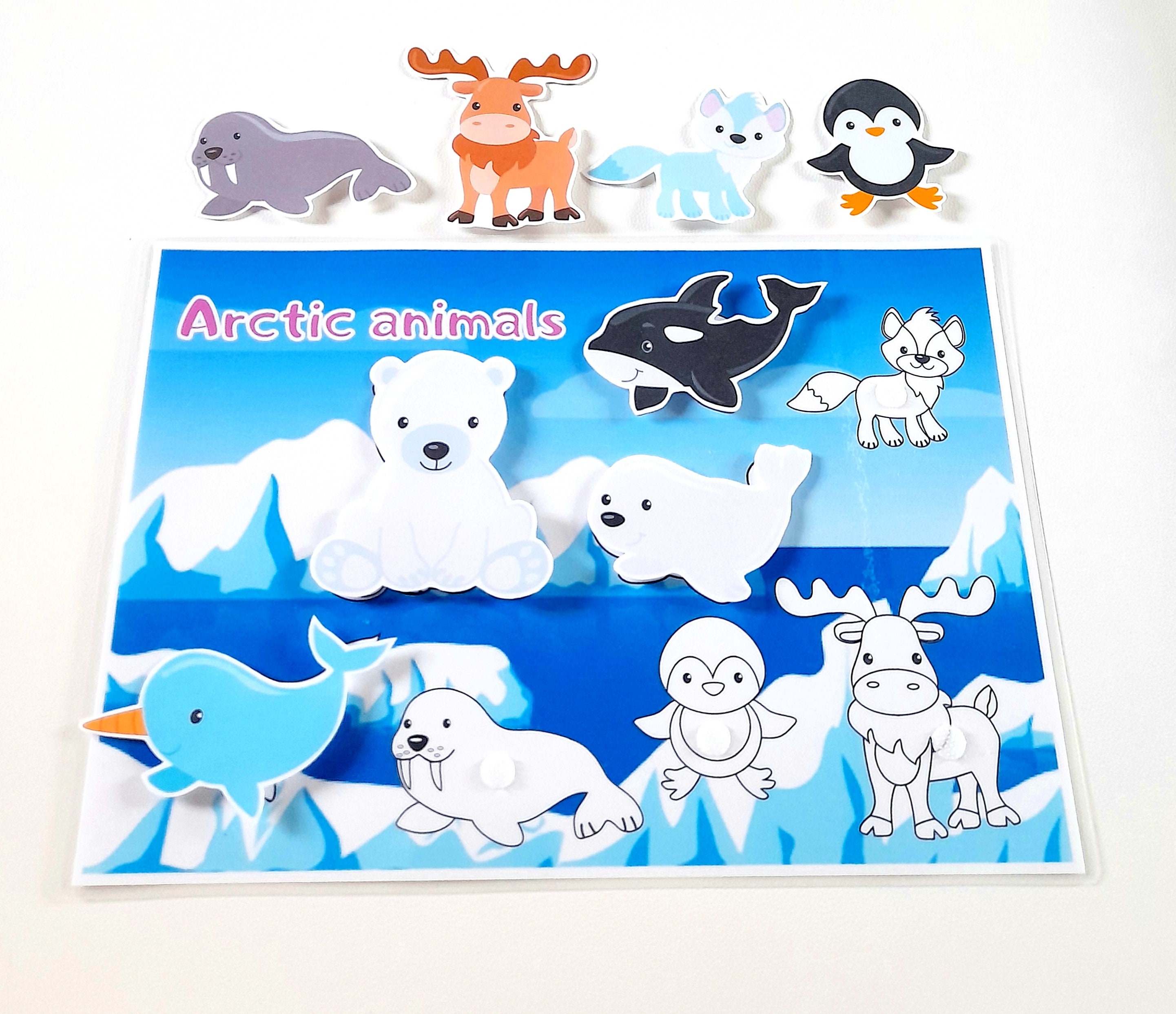 Animal Matching Game, Arctic Animal Matching , Memory Game, Printable ...