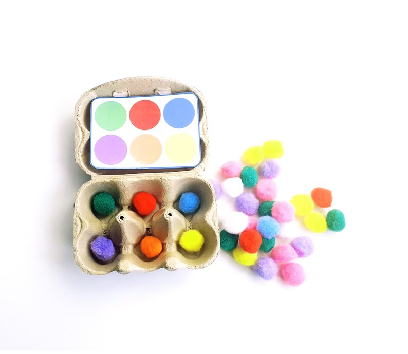 Color Activity With Pompoms and Fine Motor Skills Worksheet for ...