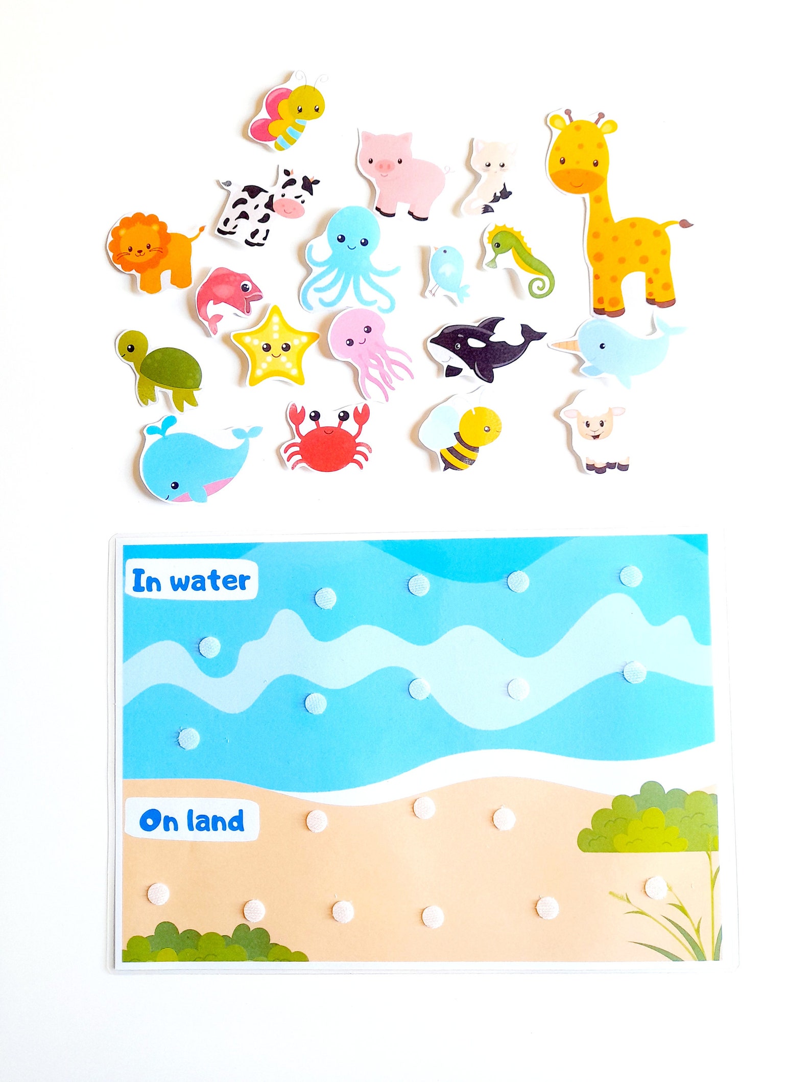 Sorting Land Animals and Water Animals for Toddlers and - Etsy