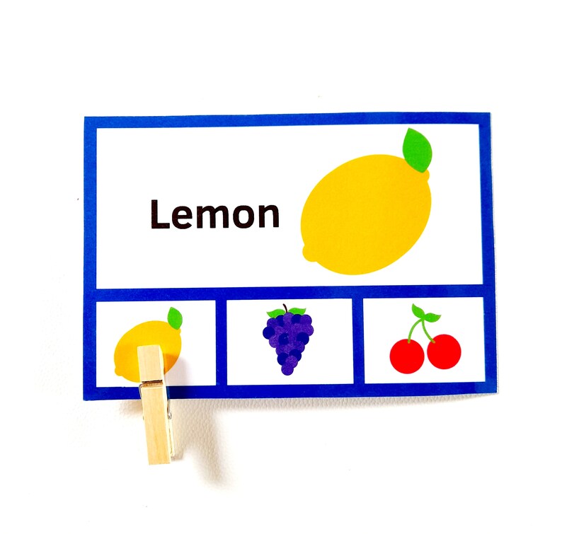 Matching Fruits Flash Cards Memory Game Printable Game for - Etsy