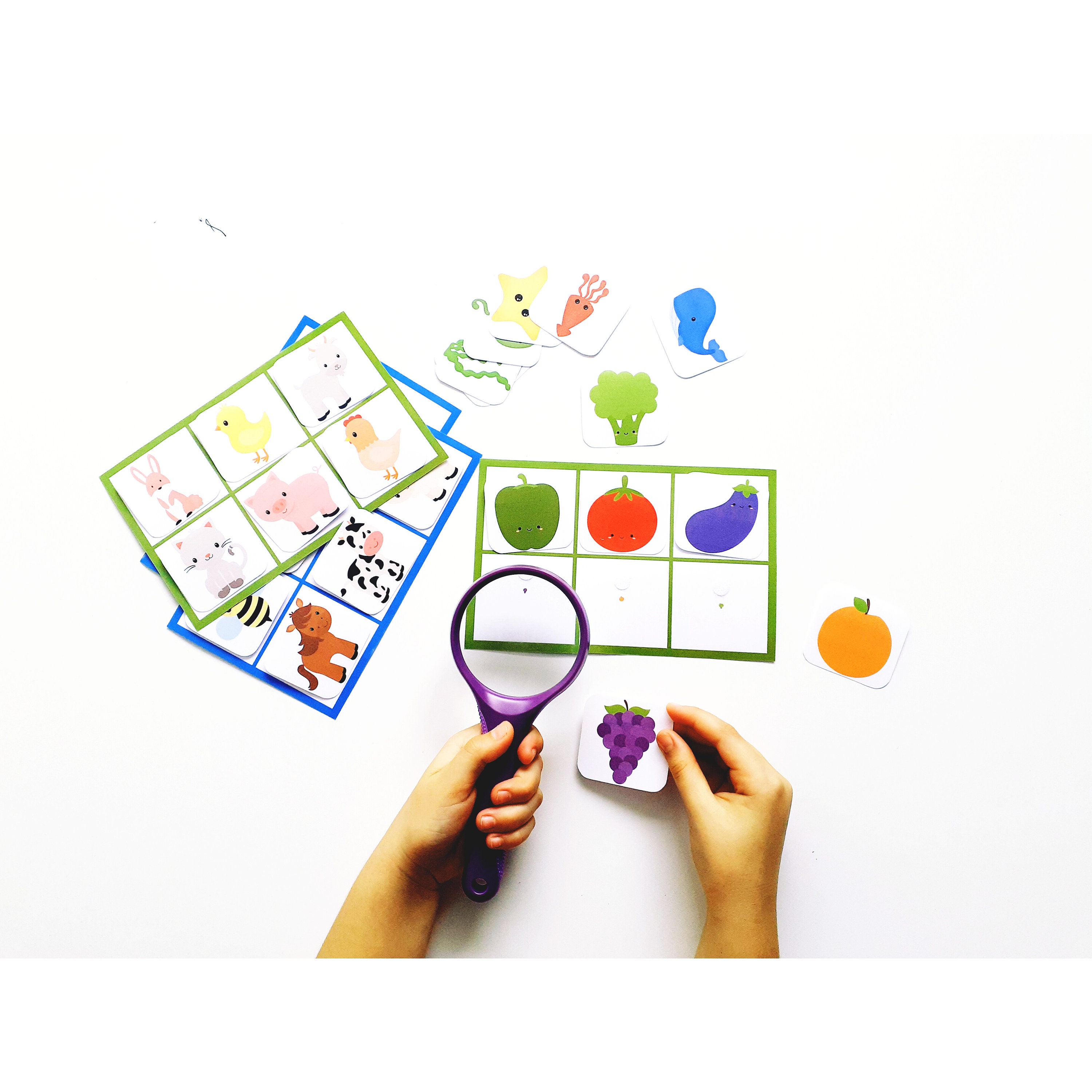 Magnifying Matching Activity, Fine Motor Skills. - Etsy