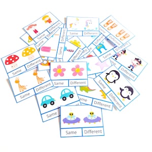 Printable Cards Same or Different Activity for Toddlers and ...