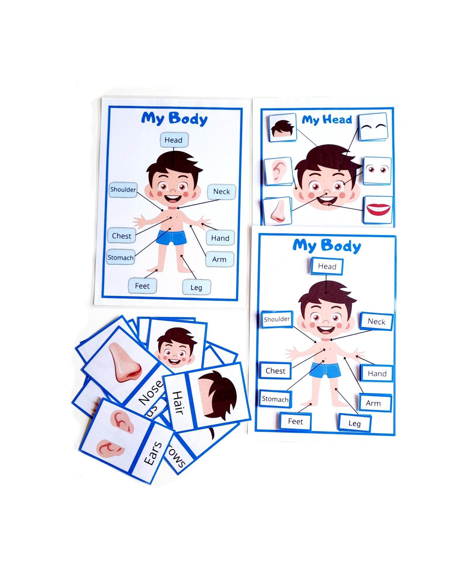 Body Parts Activity for Kids - Etsy