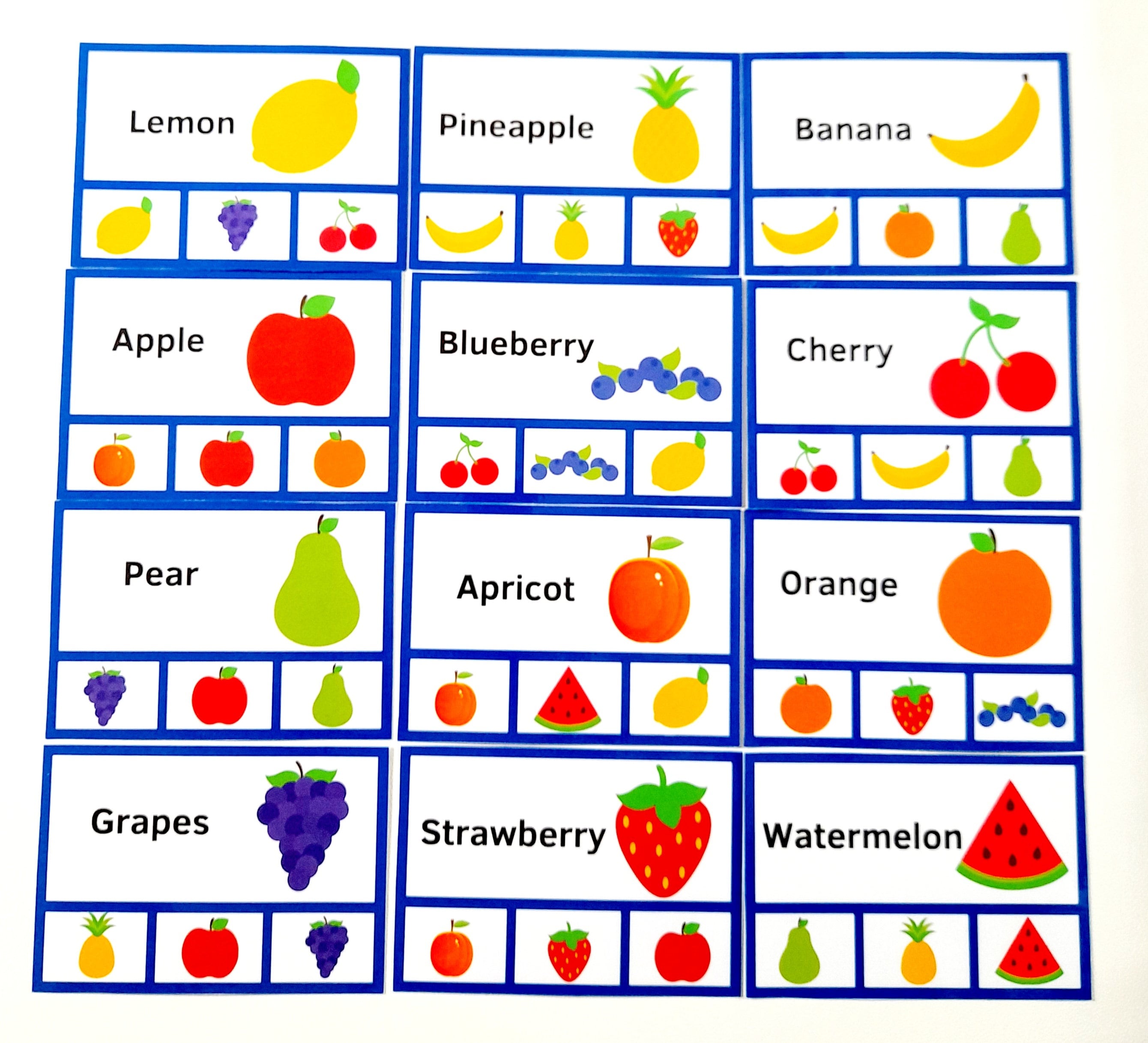 Matching Fruits Flash Cards Memory Game Printable Game for - Etsy