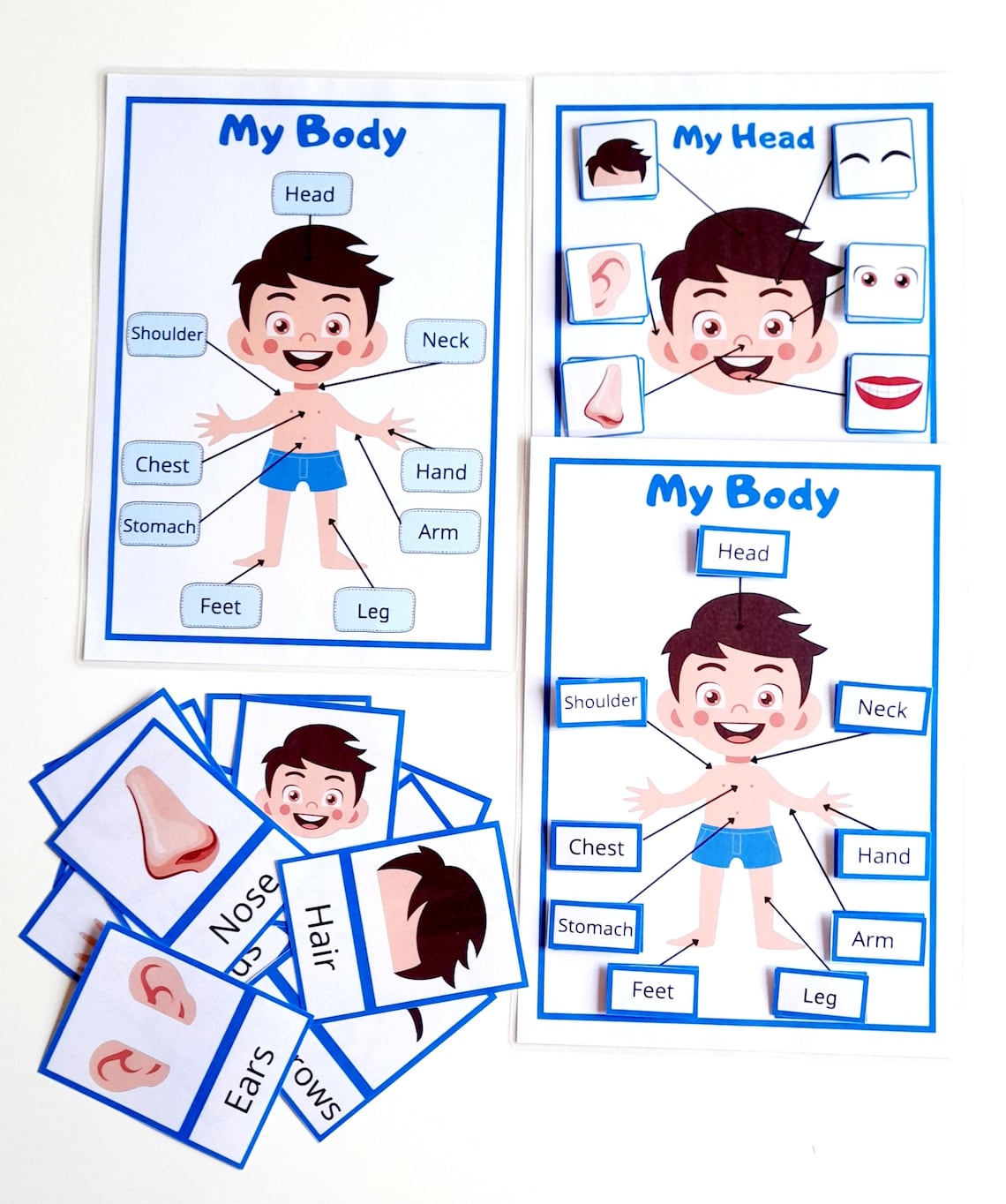 Body Parts Activity for Kids - Etsy