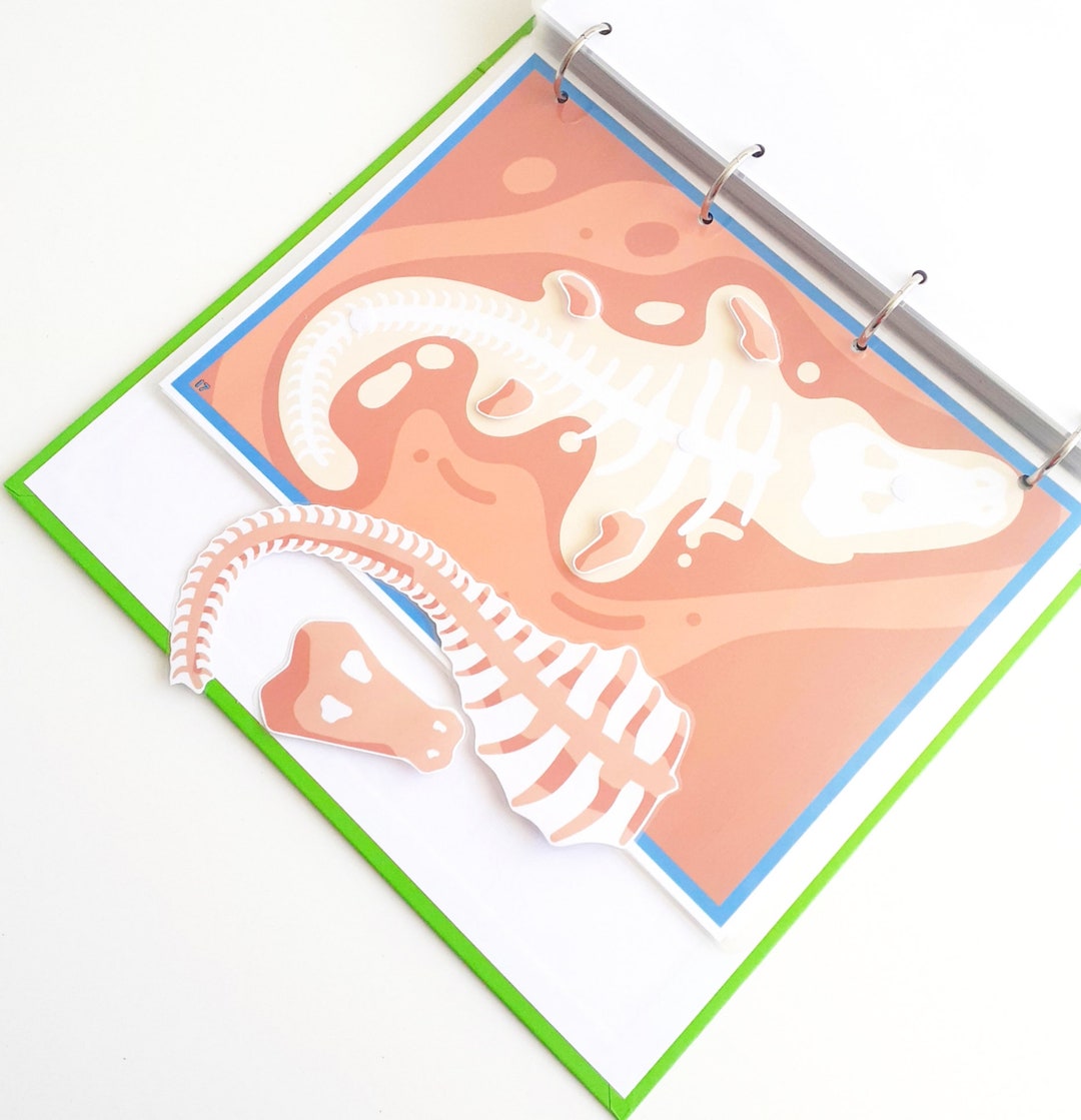 Dinosaur Busy Book for Toddlers, Preschool Home School Learning Binder ...