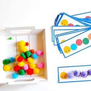 Color Activity With Pompoms and Fine Motor Skills Worksheet for ...