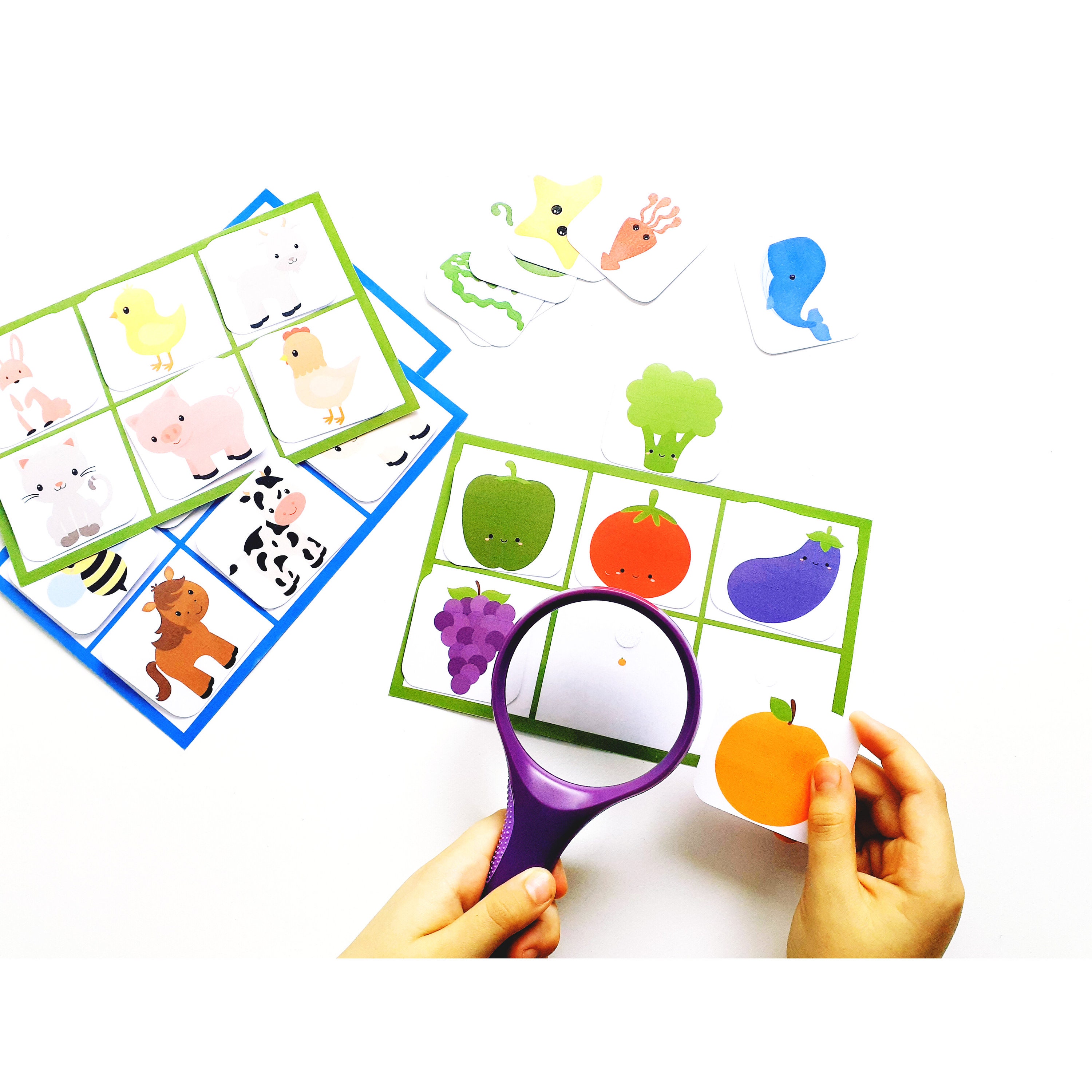 Magnifying Matching Activity, Fine Motor Skills. - Etsy