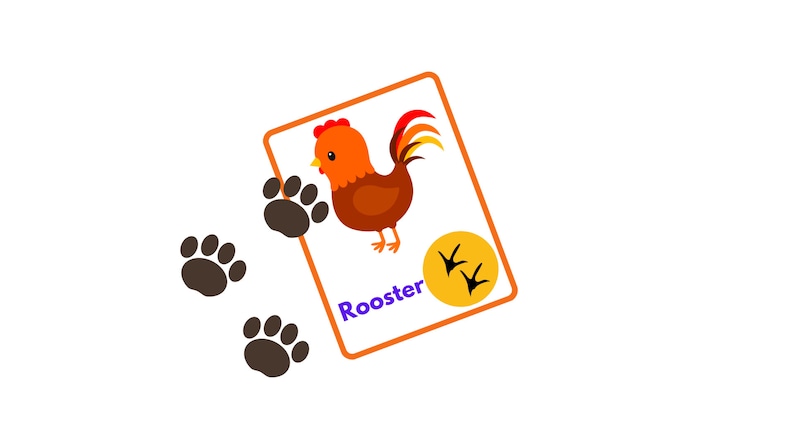 11 Printable Farm Animals Flashcards, Animal Footprints - Etsy