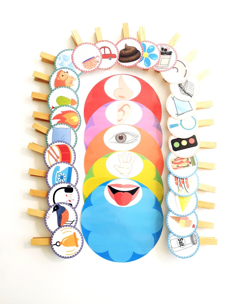 Five Senses Sorting Activity Printable 5 Senses Sorting Five Senses