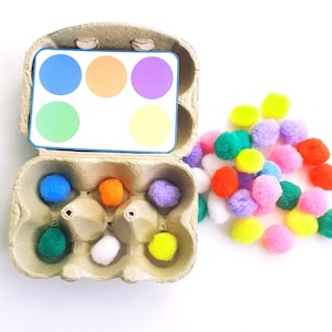 Color Activity With Pompoms and Fine Motor Skills Worksheet for ...