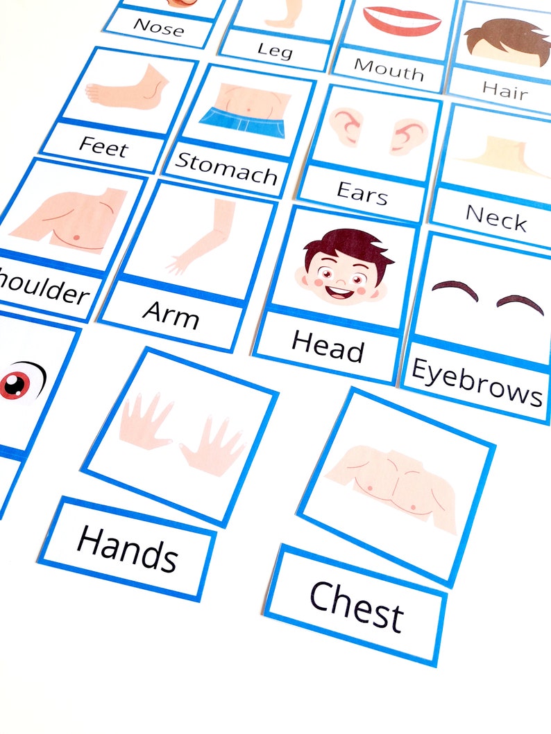 Body Parts Activity for Kids - Etsy
