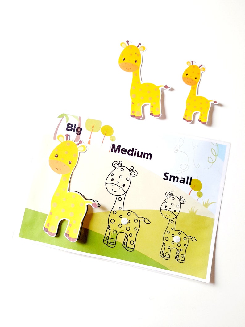Size Activity for Preschoolers Matching Activity Big Medium - Etsy