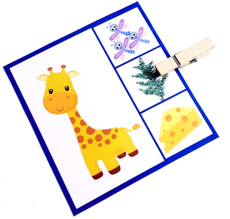 Animals Food, Fine Motor Skills, Animal Matching Game - Etsy