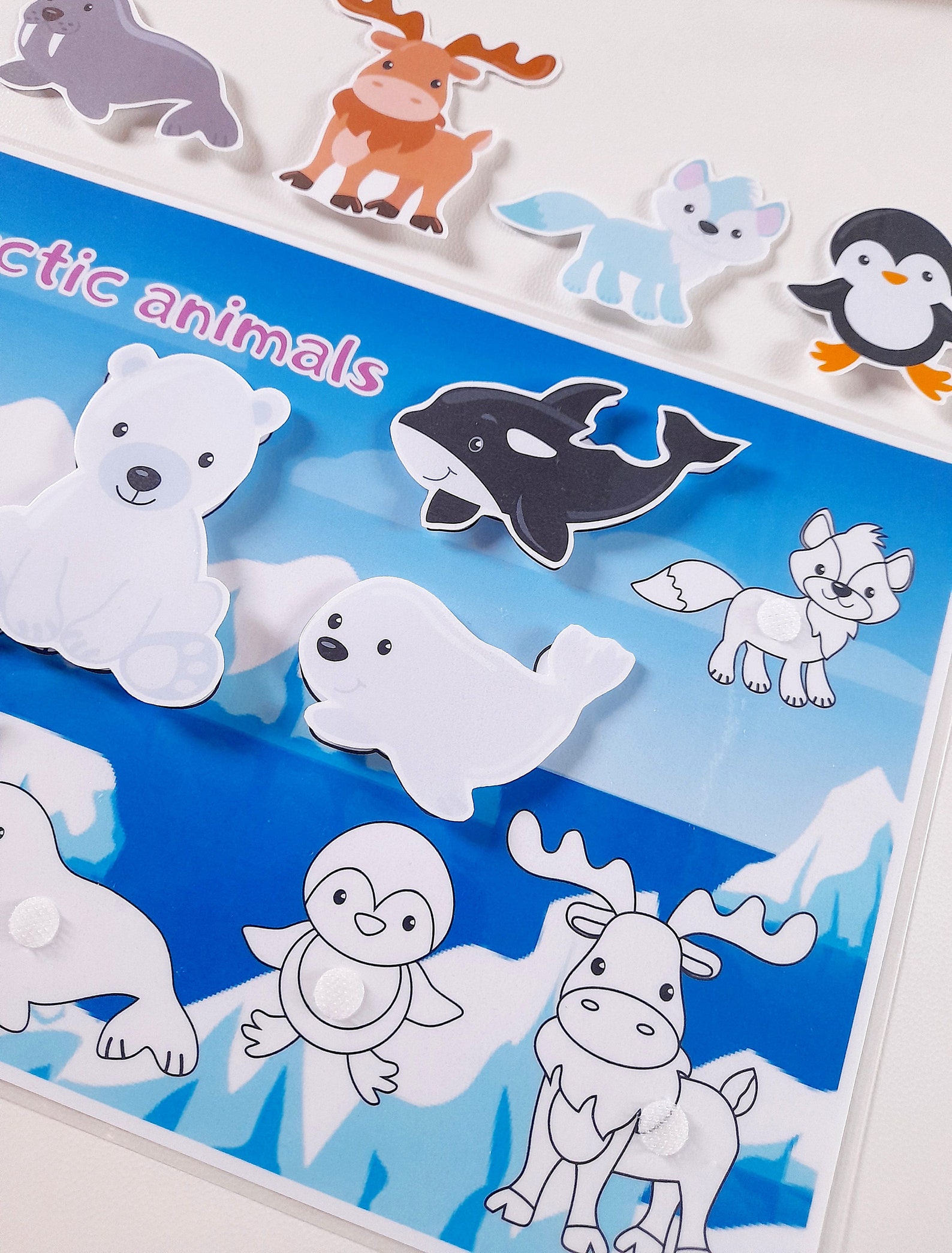 Animal Matching Game, Arctic Animal Matching , Memory Game, Printable ...