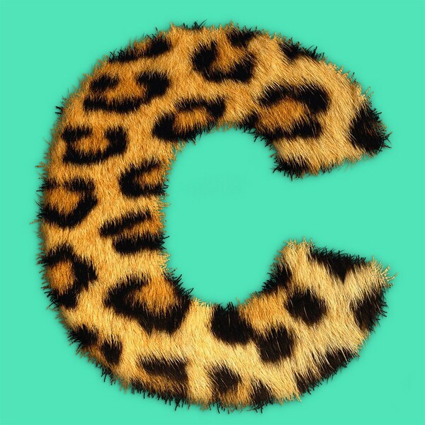 Letter C Print - Etsy