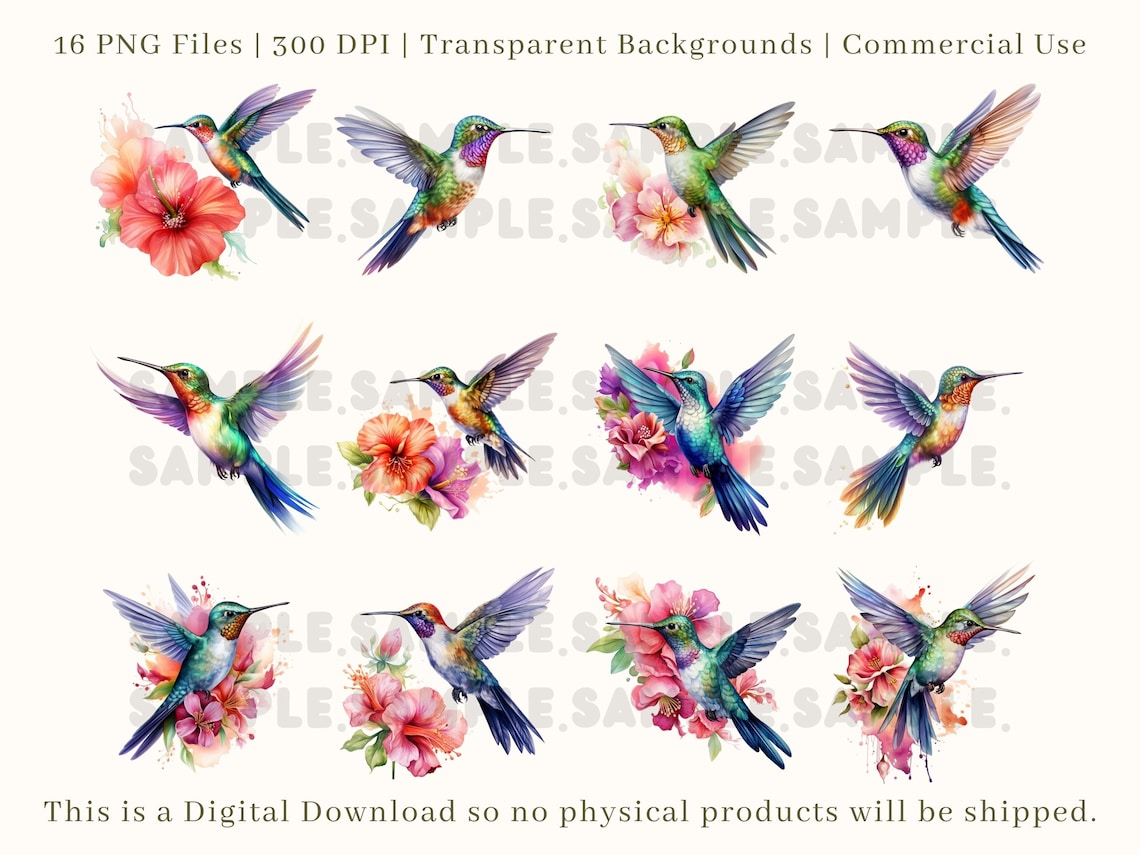 16 Hummingbirds Clipart PNG Watercolor Hummingbirds Images - Etsy