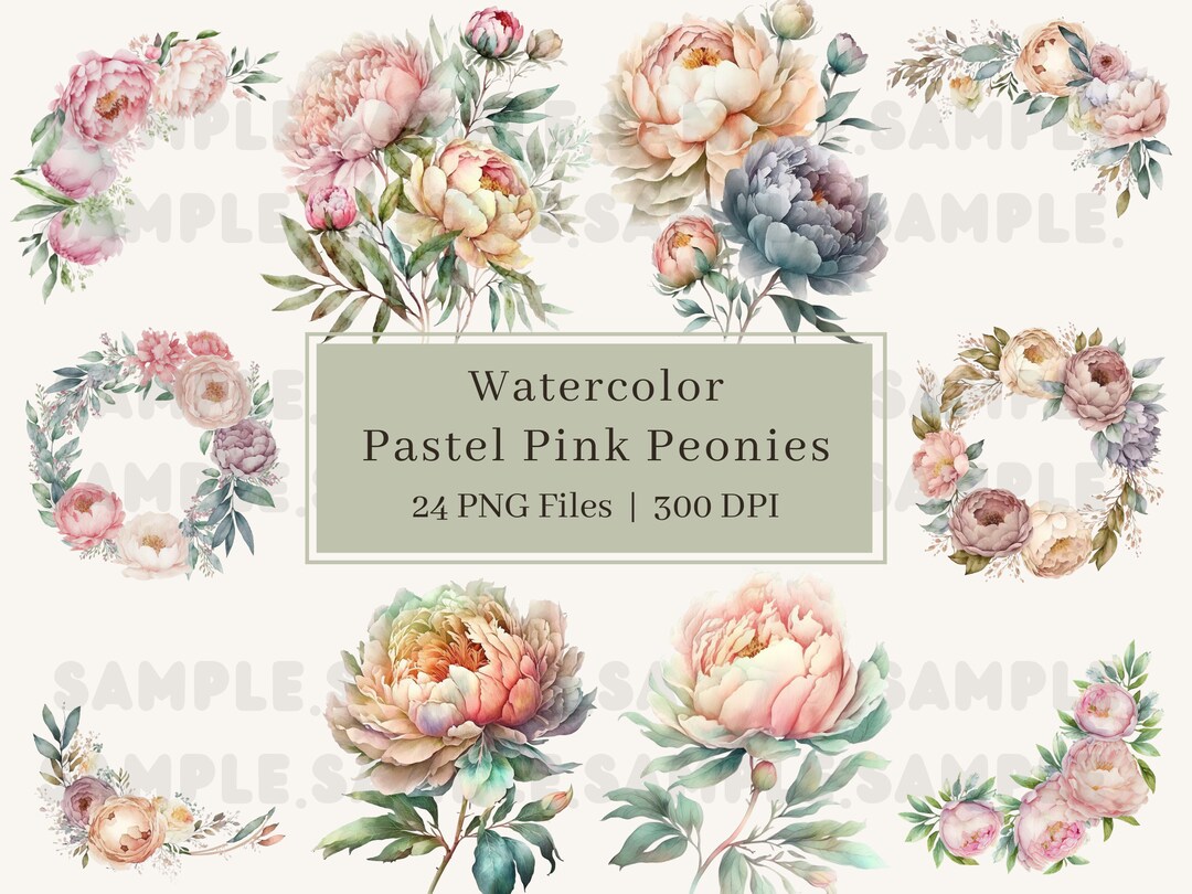 24 Watercolor Peonies Clipart, PNG, Peony flowers Clipart, Floral ...