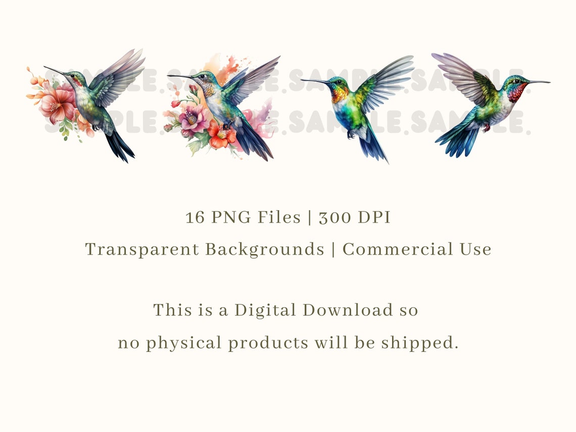 16 Hummingbirds Clipart PNG Watercolor Hummingbirds Images - Etsy