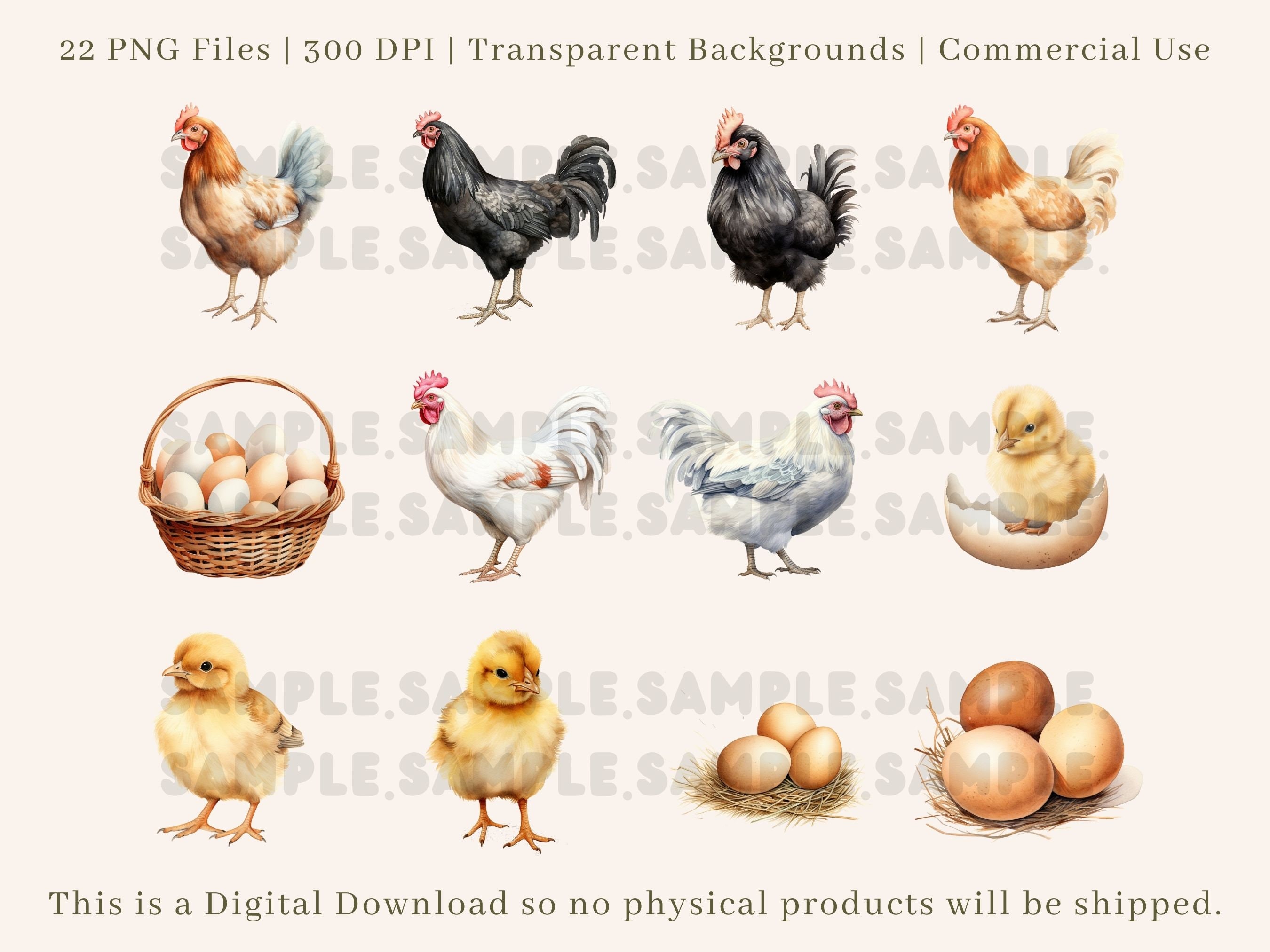 22 Chickens Clipart, PNG, Watercolor Chicken Coop Clipart Bundle ...