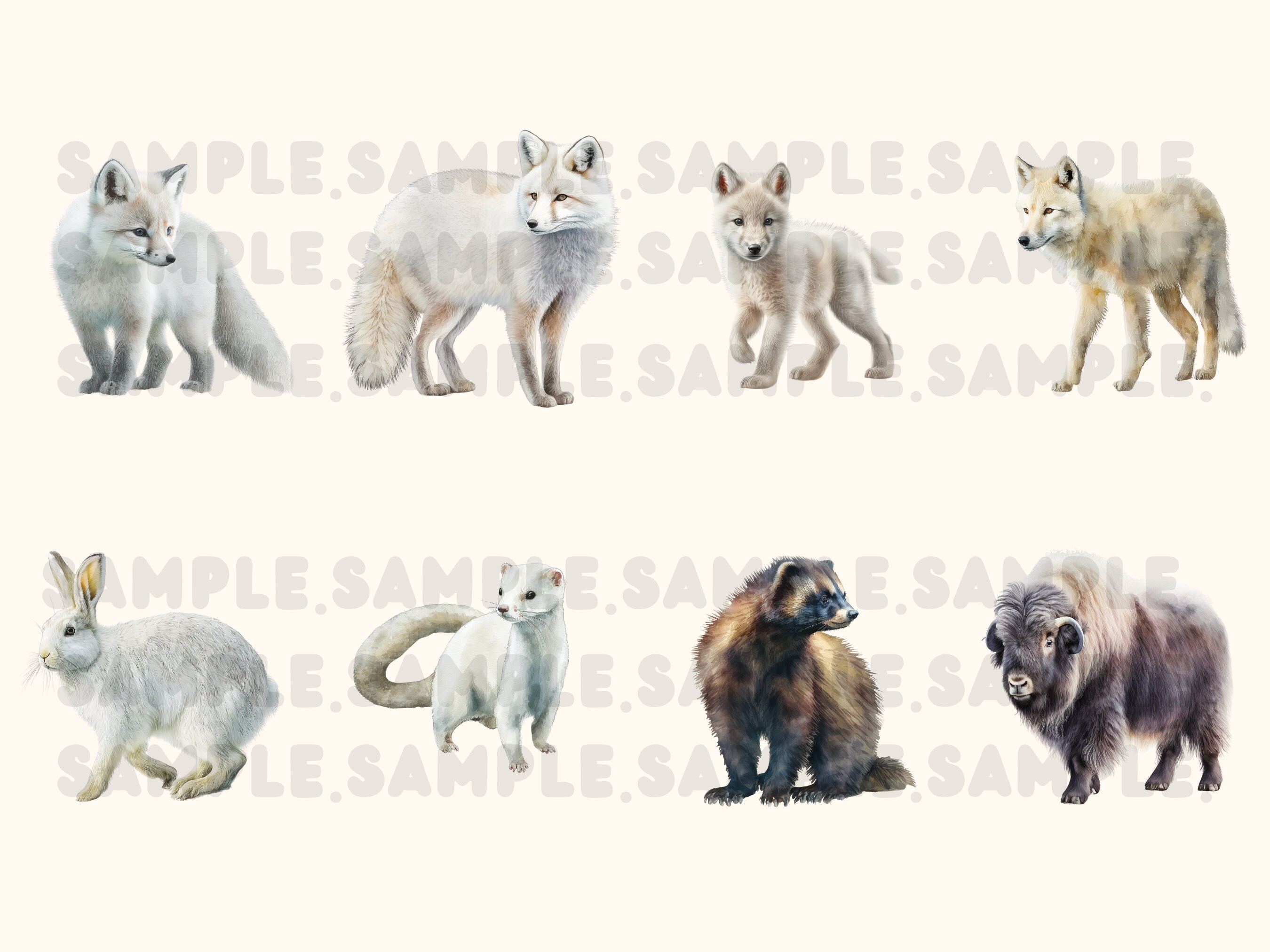 24 Watercolor Arctic Animals Clipart, PNG, Snow Animals, Wall Art, Seal ...