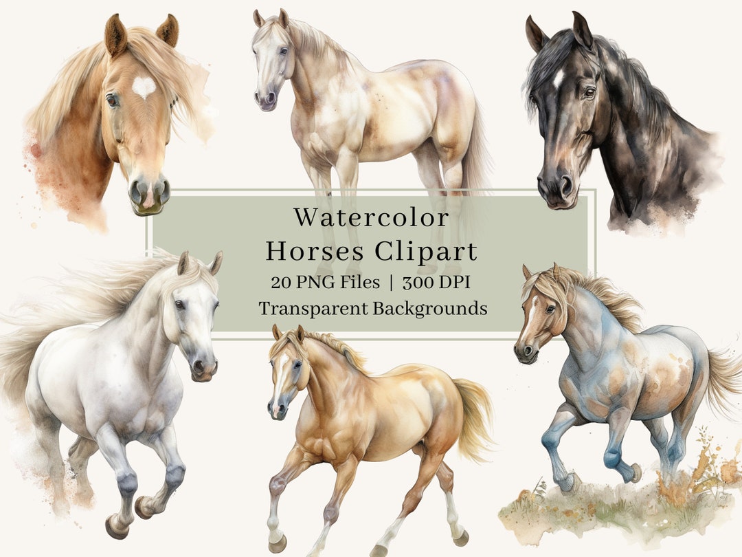 20 Horses Clipart, PNG, Watercolor Horse Clipart Bundle, Animal Clipart ...