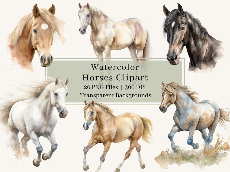 20 Horses Clipart, PNG, Watercolor Horse Clipart Bundle, Animal Clipart ...