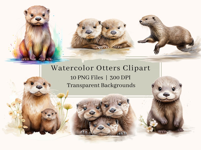 10 Otters Clipart PNG, Watercolor Otter Clipart Bundle, Otter Pups ...