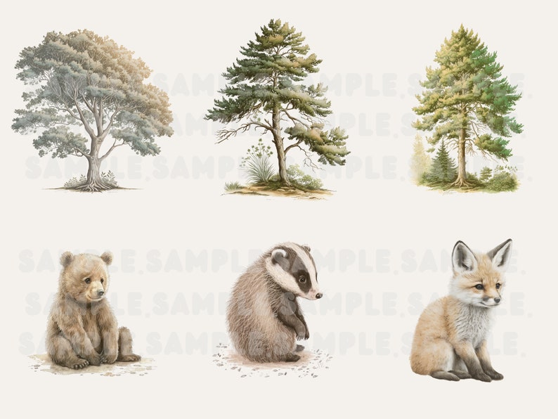 12 Woodland Animals Clipart PNG Watercolor Forest Animal - Etsy