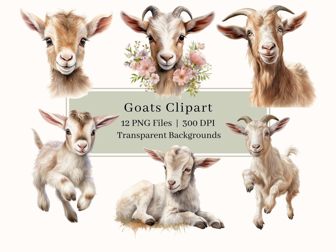 12 Goats Clipart PNG, Watercolor Goat Clipart Bundle, Goat Kids, Baby ...
