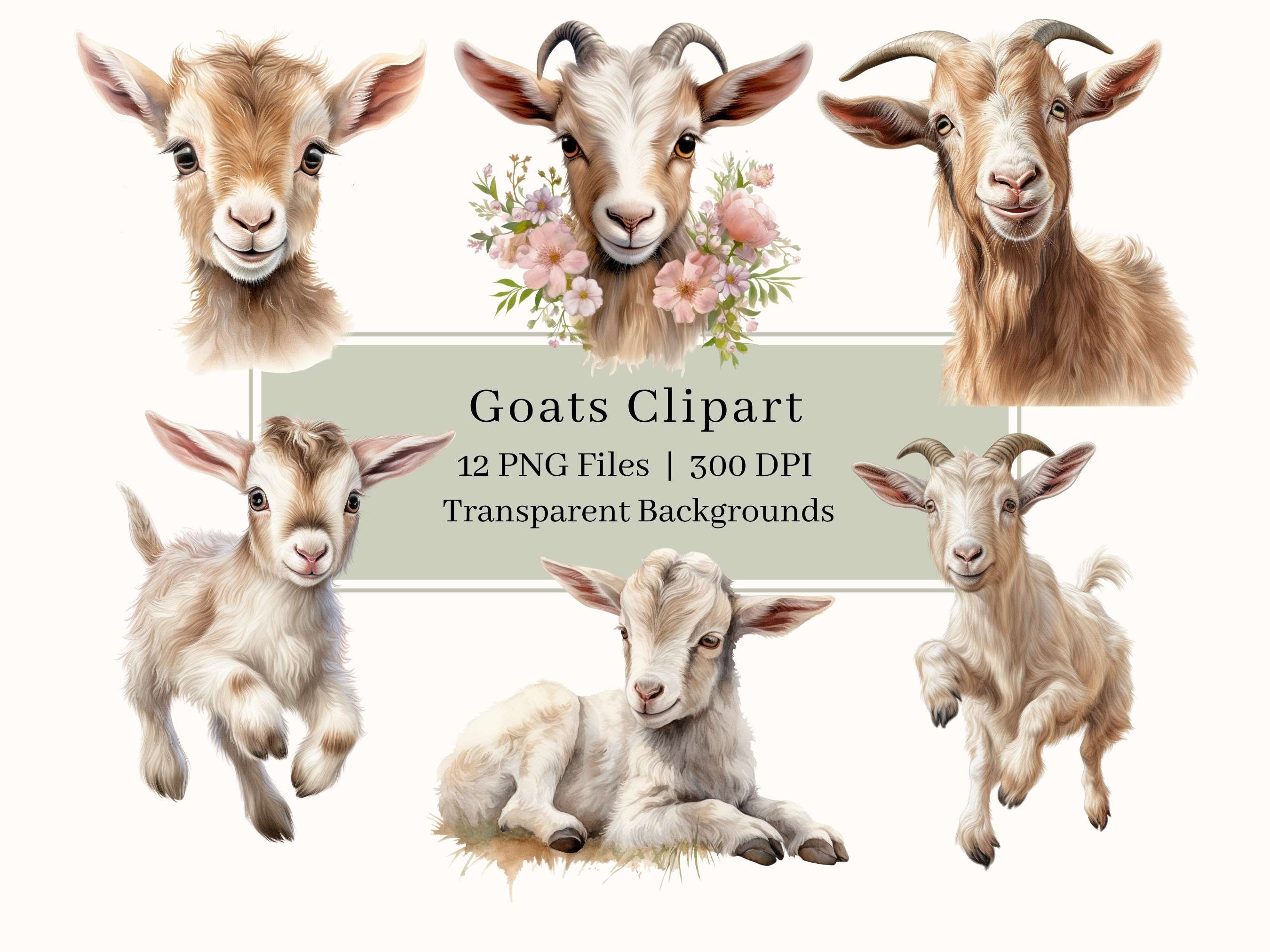 12 Goats Clipart PNG, Watercolor Goat Clipart Bundle, Goat Kids, Baby ...
